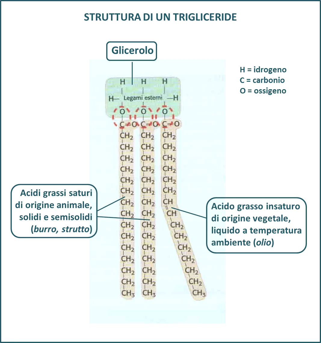 Molecola Di Trigliceride LOVE/ Body Lotion Davines